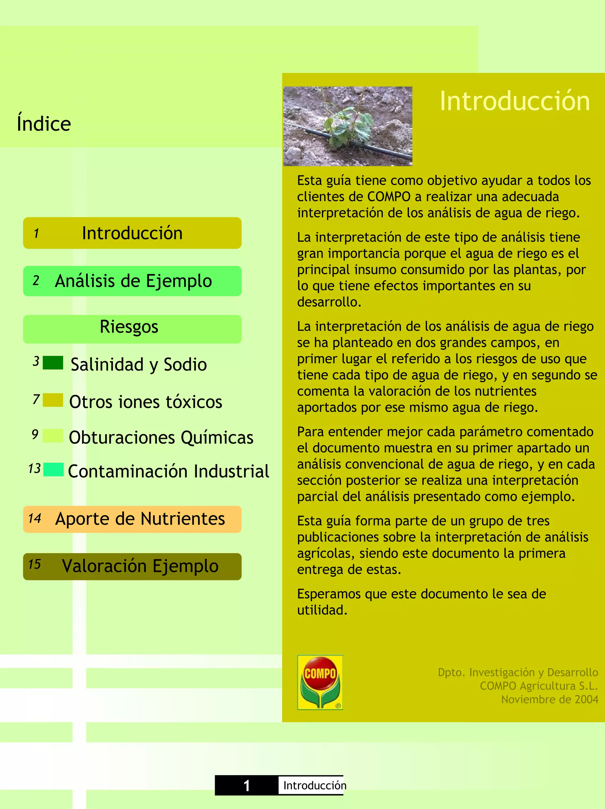 Analisis Agua Riego | PDF | Water Services | Home Utilities