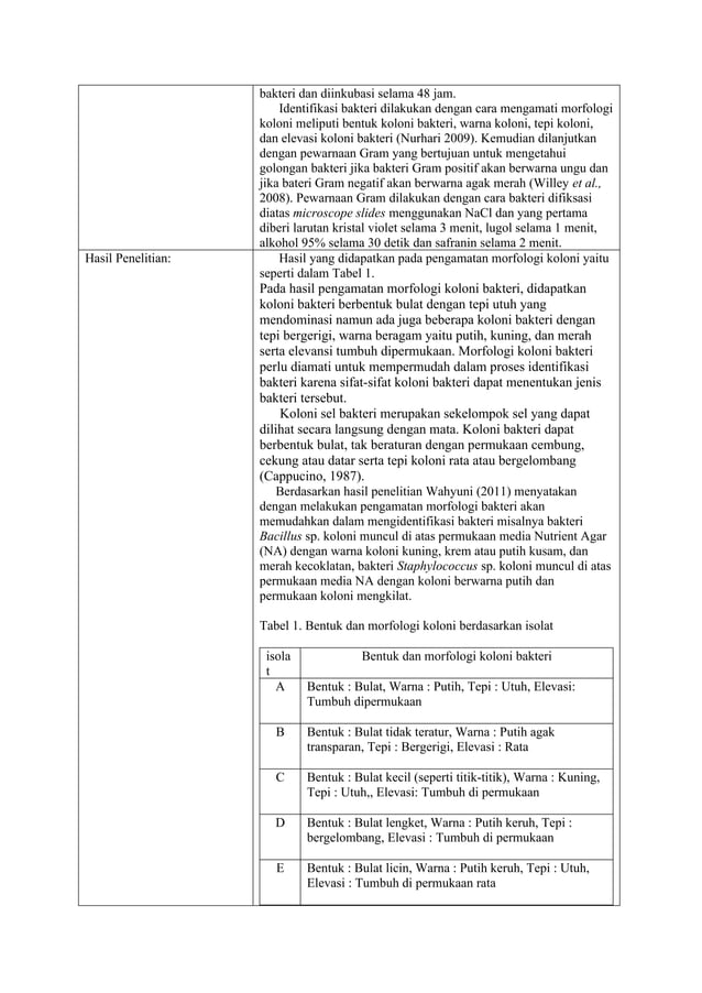 ANALISIS ARTIKEL JURNAL bio bakteri.docx