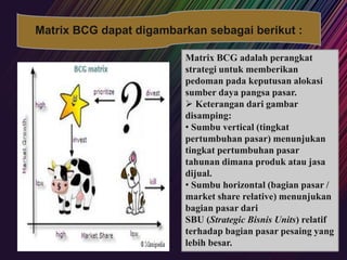 Analisis BCG | PDF