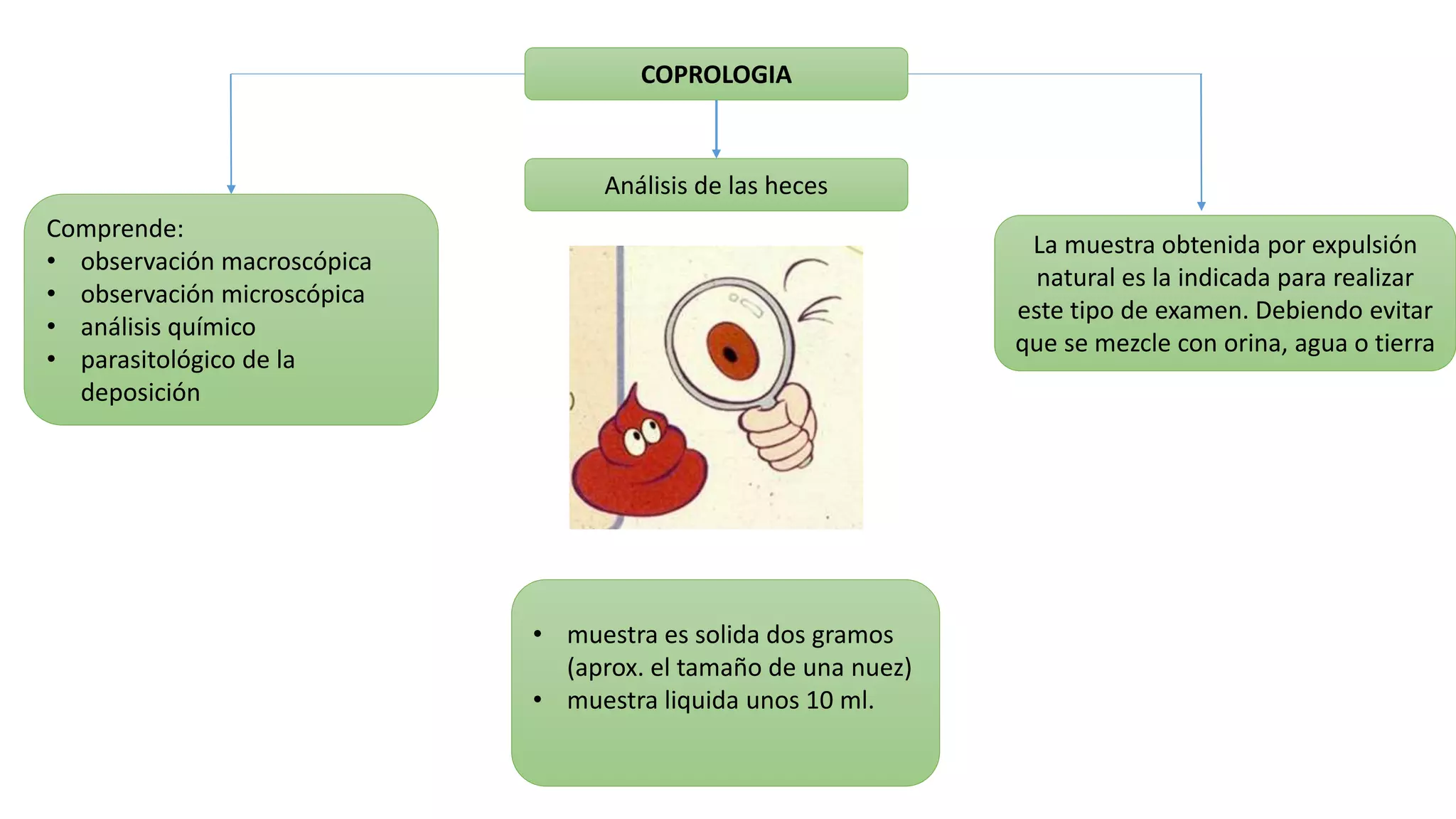 ANALISIS CLINICO ( COPROLOGIA FUNCIONAL) | PPTX