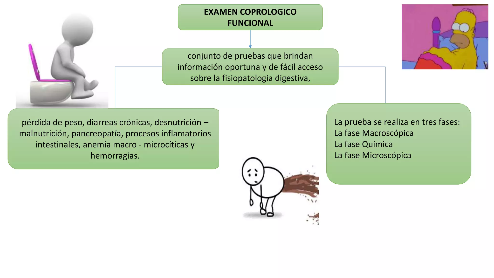 ANALISIS CLINICO ( COPROLOGIA FUNCIONAL) | PPTX