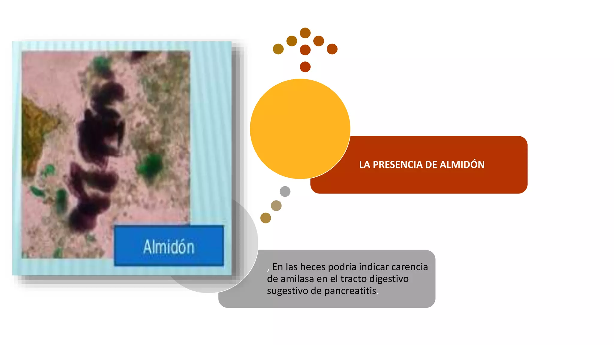 ANALISIS CLINICO ( COPROLOGIA FUNCIONAL) | PPTX