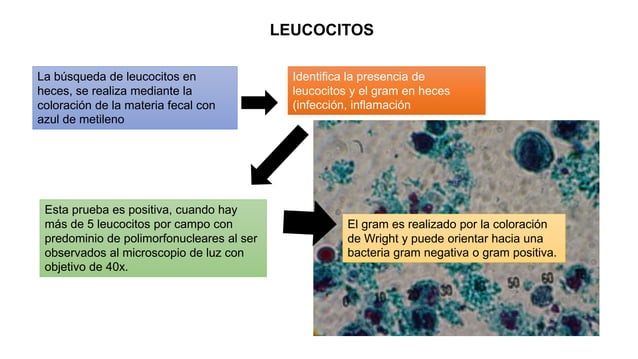 ANALISIS CLINICO ( COPROLOGIA FUNCIONAL) | PPTX