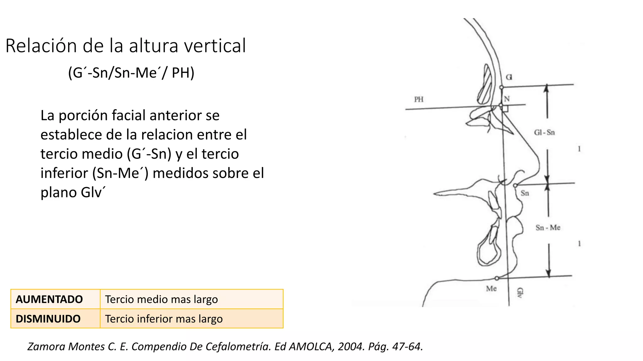 Análisis de dr Legan y burstone.pptx