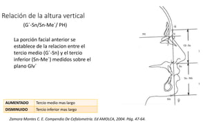 Análisis de dr Legan y burstone.pptx
