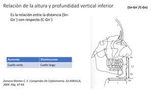 Análisis de dr Legan y burstone.pptx