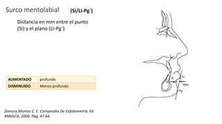 Análisis de dr Legan y burstone.pptx