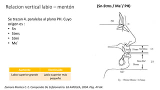 Análisis de dr Legan y burstone.pptx