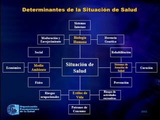 Analisis de la situacion de salud(asis) | PPT