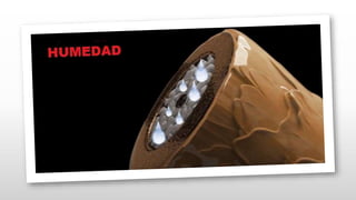 Análisis del cabello-clase-1 | PPTX