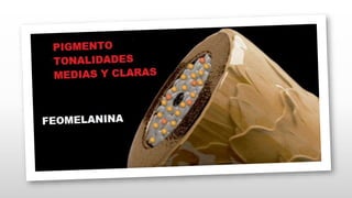 Análisis del cabello-clase-1 | PPTX