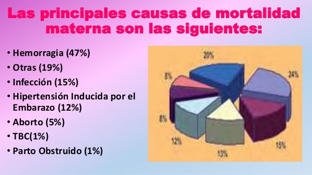 Analisis de muerte materno infantil