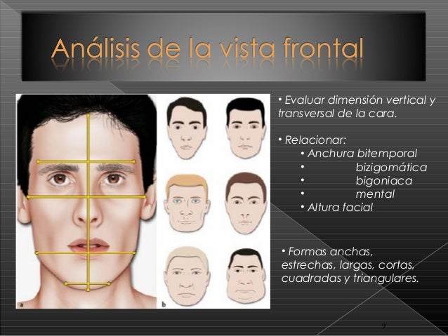 Analisis facial regional