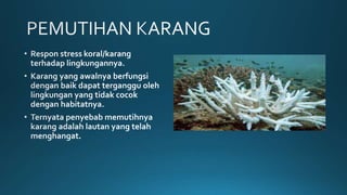 Analisis Film Chasing Coral | PPTX