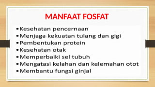 ANALISIS KADAR FOSFAT PADA SAMPEL DARAH | PPTX