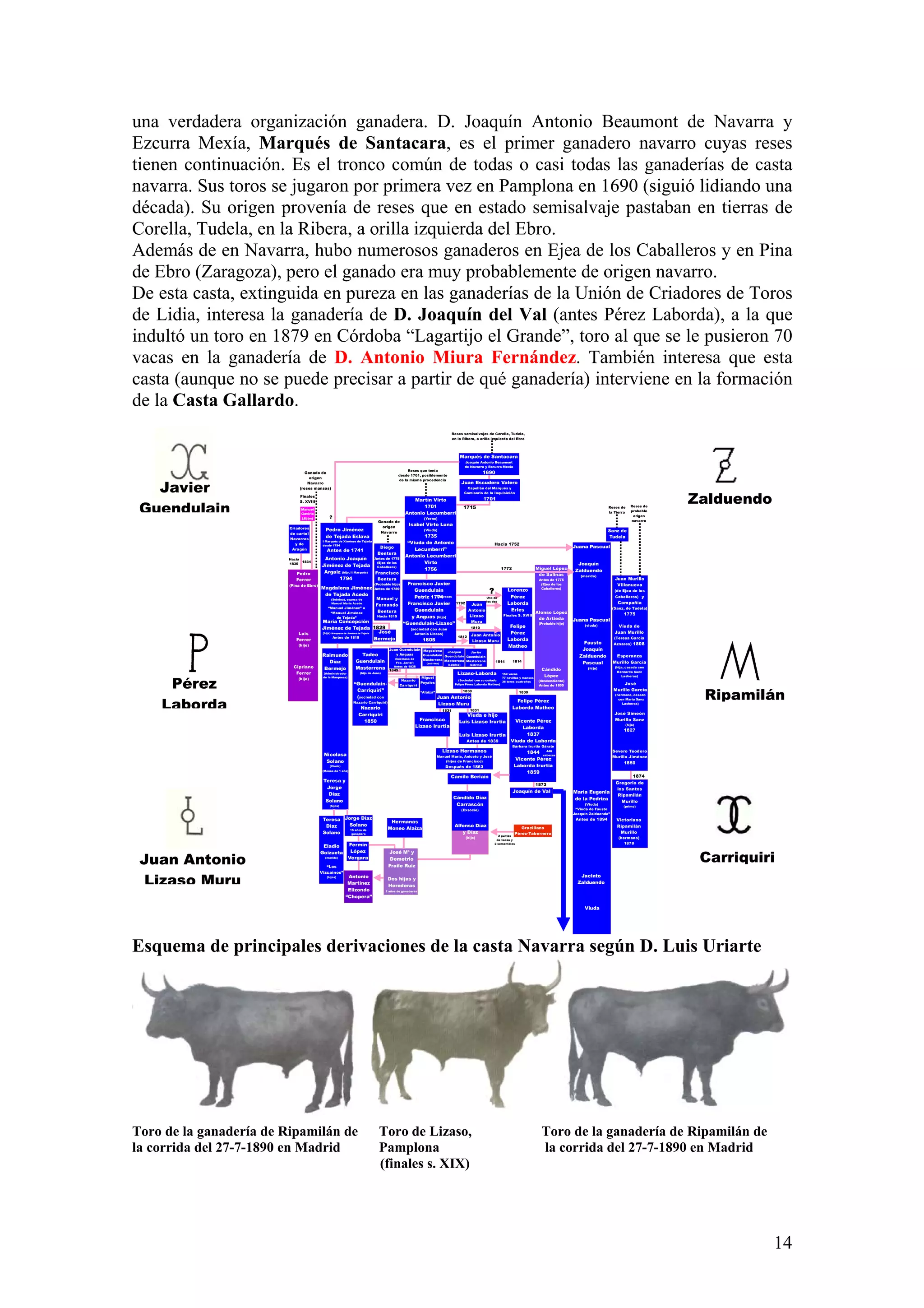 Analisis historico castas_fundacionales | PDF