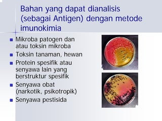 Analisis Imunokimia | PDF