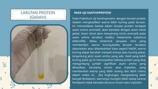 Analisis-Kualitatif - Asam Amino dan Protein.pptx
