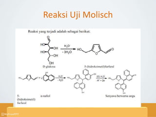 Analisis Kualitatif Karbohidrat | PPTX