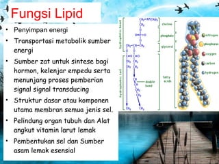 Analisislipid | PPT