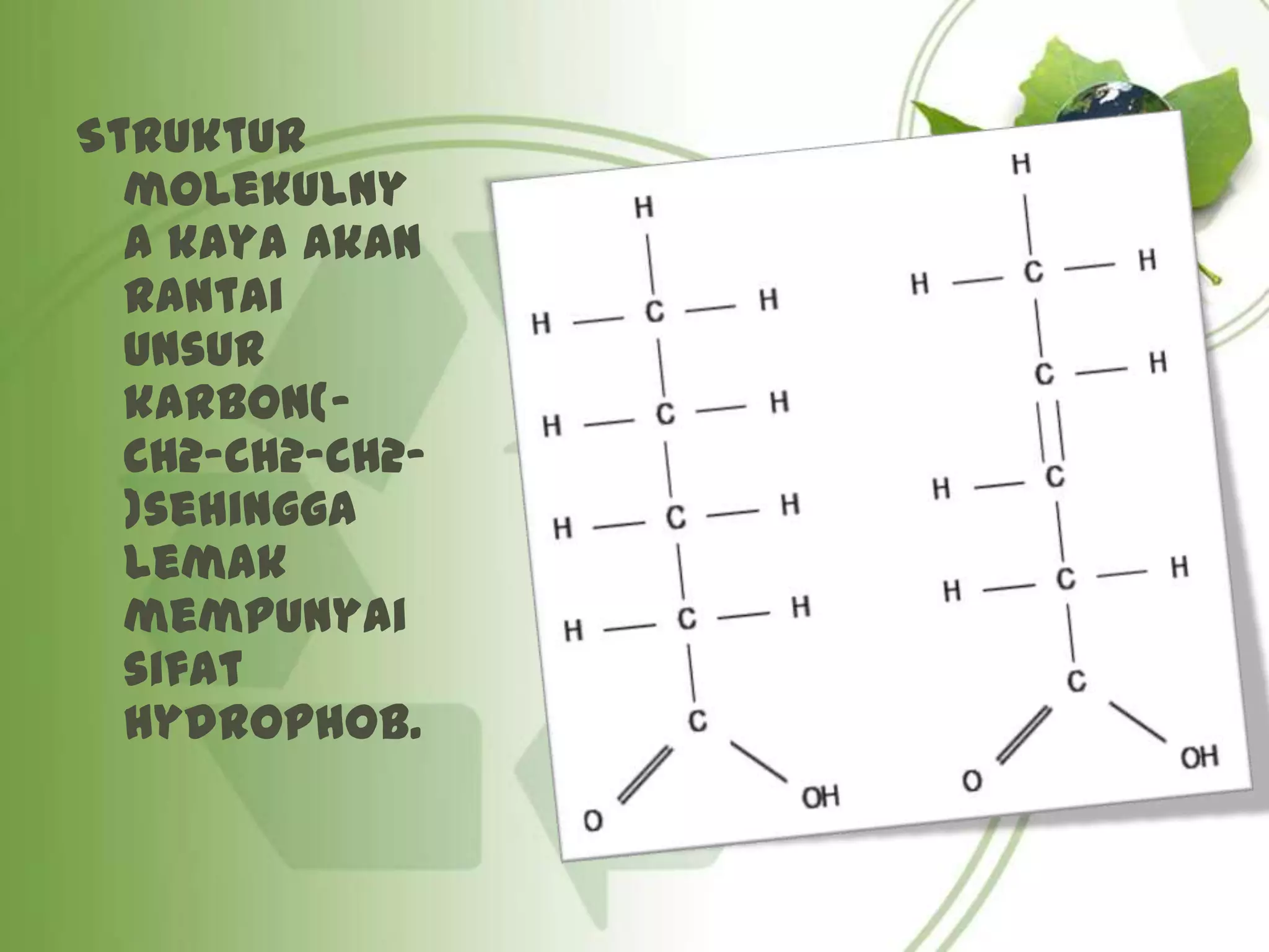 Analisis Lipid | PPTX