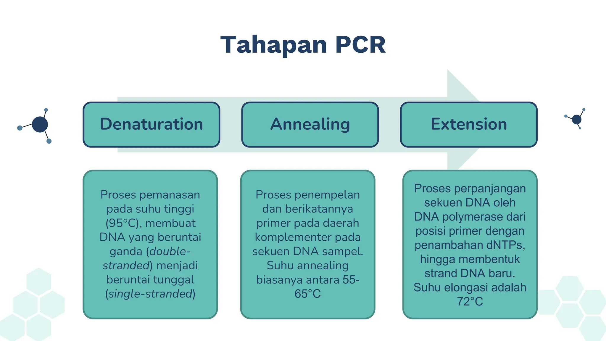 Analisis Materi Genetik I (DNA, RNA, PCR).pdf