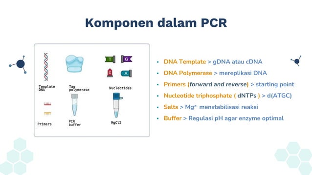 Analisis Materi Genetik I (DNA, RNA, PCR).pdf