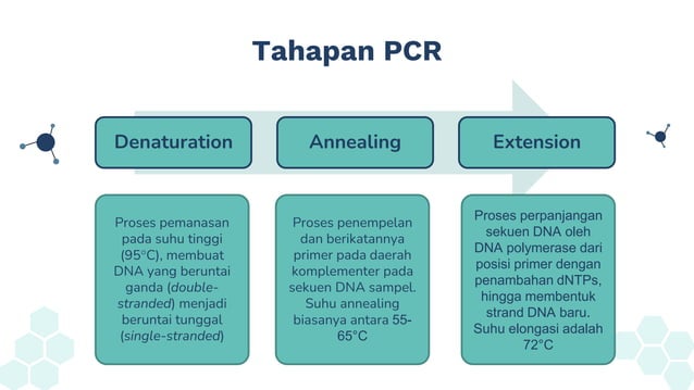 Analisis Materi Genetik I (DNA, RNA, PCR).pdf