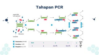Analisis Materi Genetik I (DNA, RNA, PCR).pdf