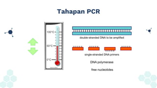 Analisis Materi Genetik I (DNA, RNA, PCR).pdf