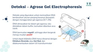 Analisis Materi Genetik I (DNA, RNA, PCR).pdf