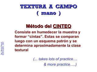 Analisis MecáNico (T.P.) | PPT