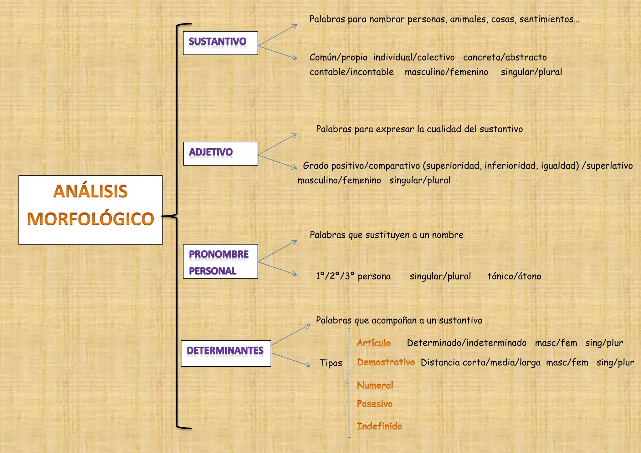 Analisis morfológico | PPT