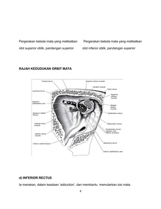 Analisis pergerakan manusia final | PDF
