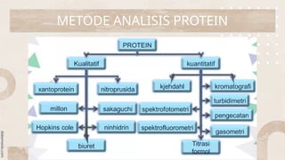 ANALISIS PROTEIN AMAMIiiiiiiiiiiiiiiii.pptx