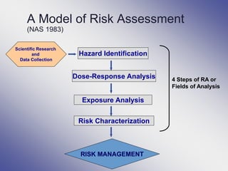 Analisis Resiko Lingkungan.pptx
