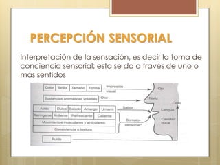 Analisis sensorial | PPTX