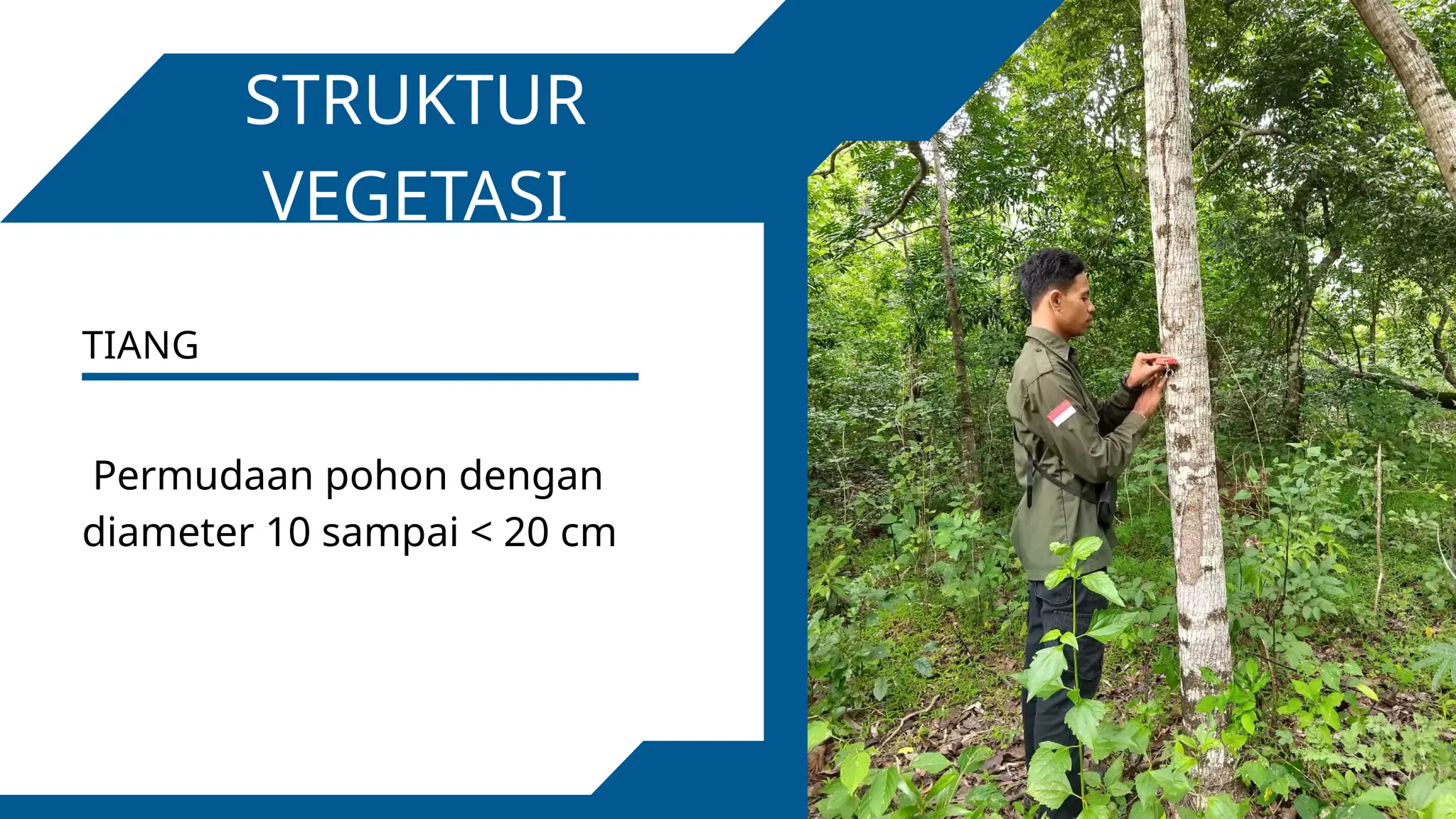 Analisis Vegetasi Tanaman Kehutanan.pptx