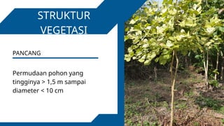 Analisis Vegetasi Tanaman Kehutanan.pptx