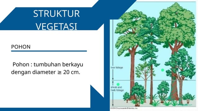 Analisis Vegetasi Tanaman Kehutanan.pptx