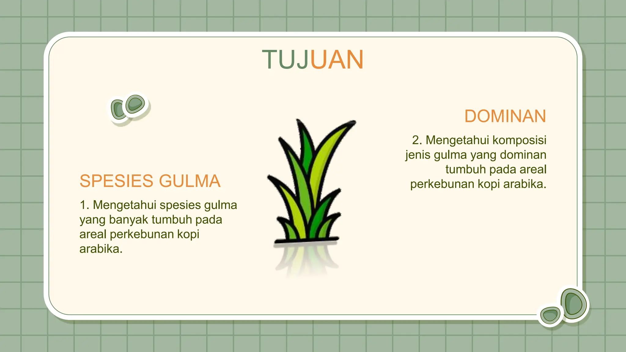 Analisis Vegetasi gulma tanaman kopi.pptx
