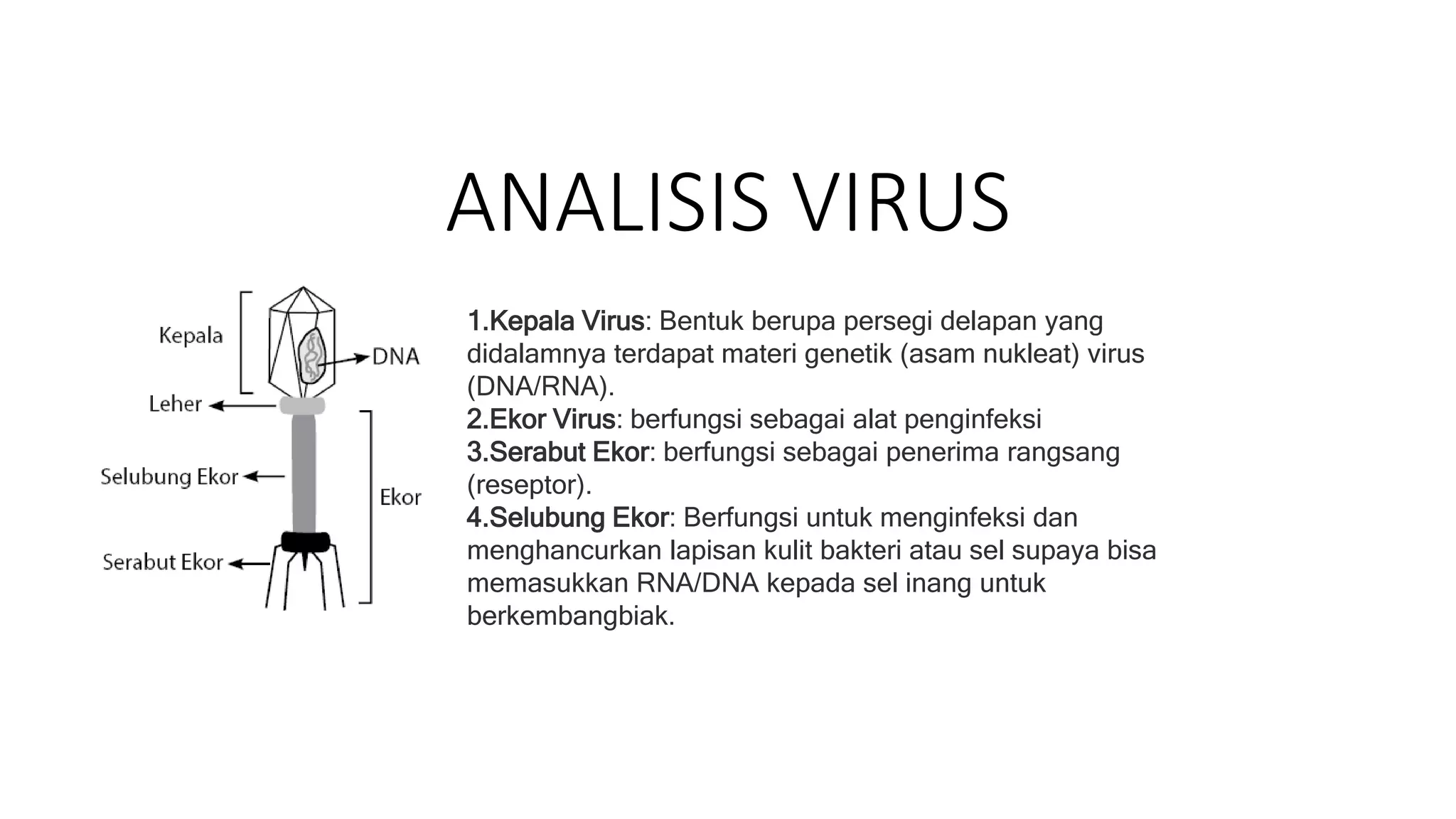 analisis virus 1.pptx