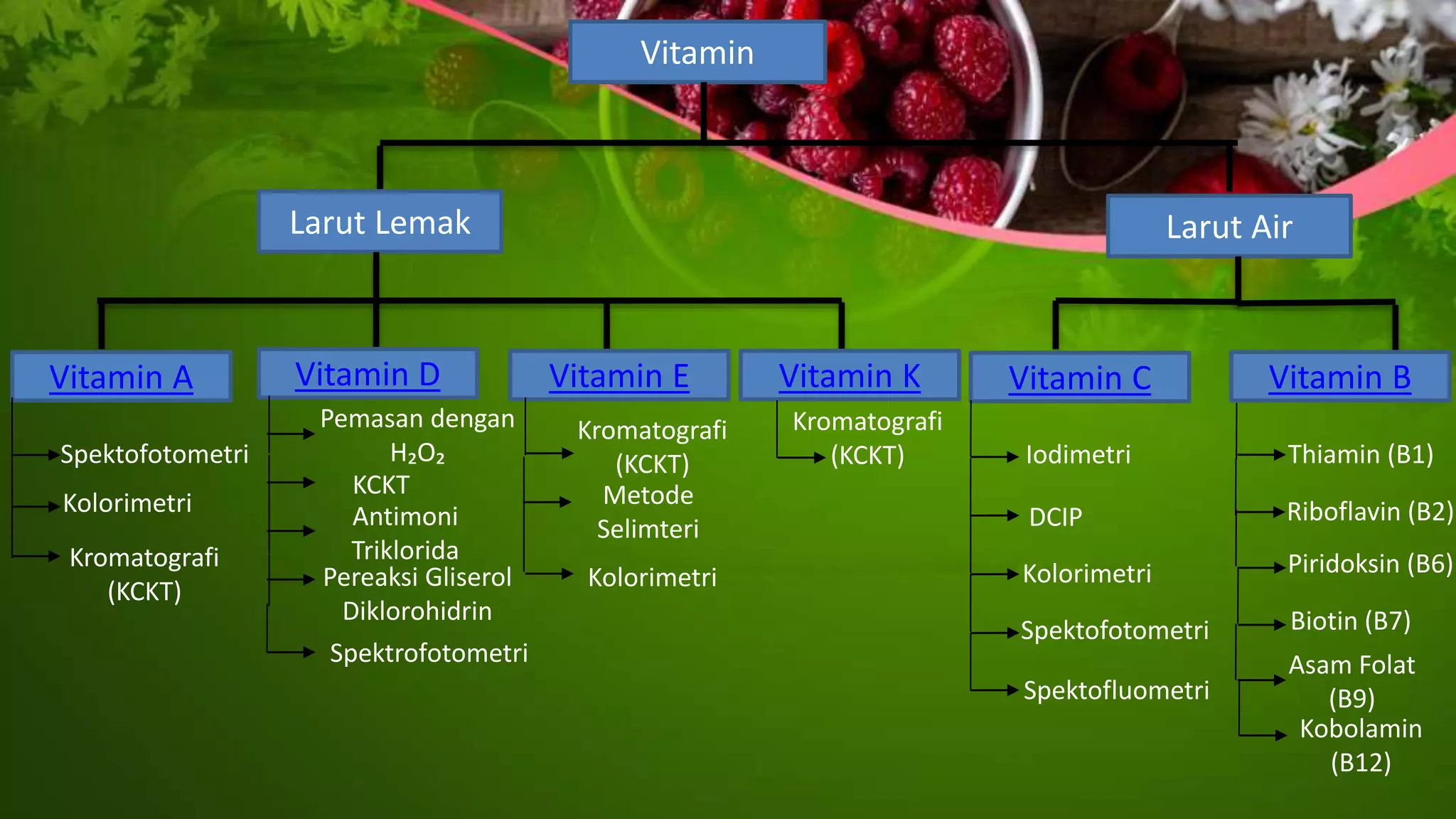 Analisis_Vitamin.pptx
