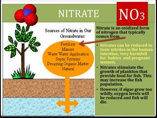 Analiza apei | PPTX | Fish and Aquariums | Pets