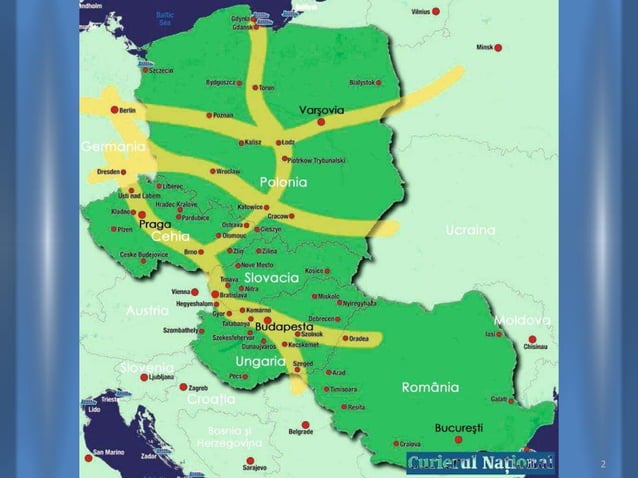 Analiza de nevoi mariana costache | PPT