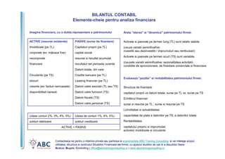 Analiza financiara a bilantului contabil - Elemente cheie (Anda Racsa ...