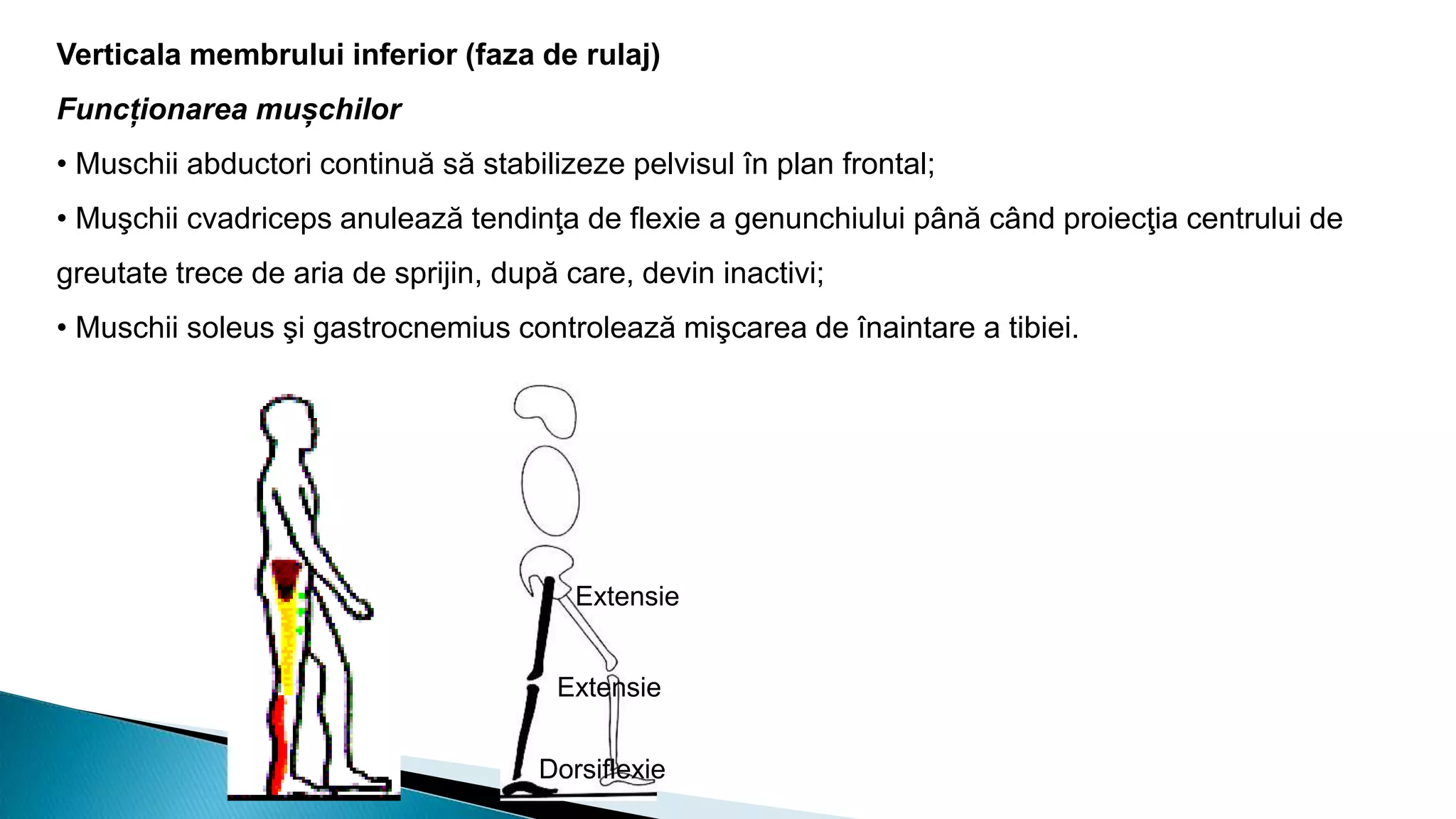Analiza mersului.pptx