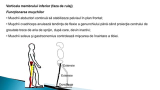 Analiza mersului.pptx