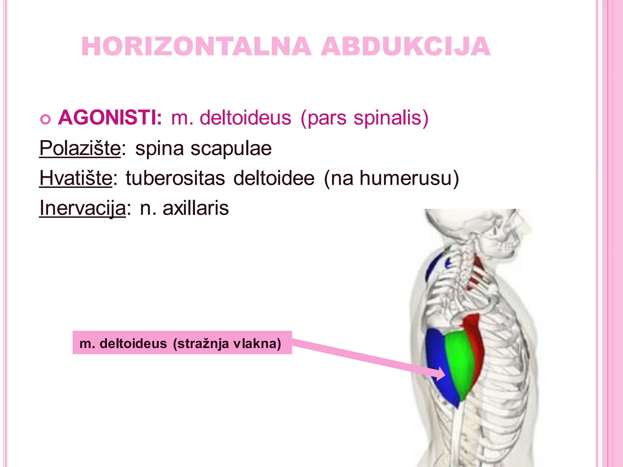 ANALIZA POKRETA GORNJIH EKSTREMITETA Puškarić.pdf