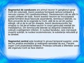 analizator acustico-vestibular | PPT